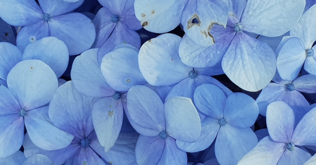 🍎3.2回目の手術と経過｜ruru_churu