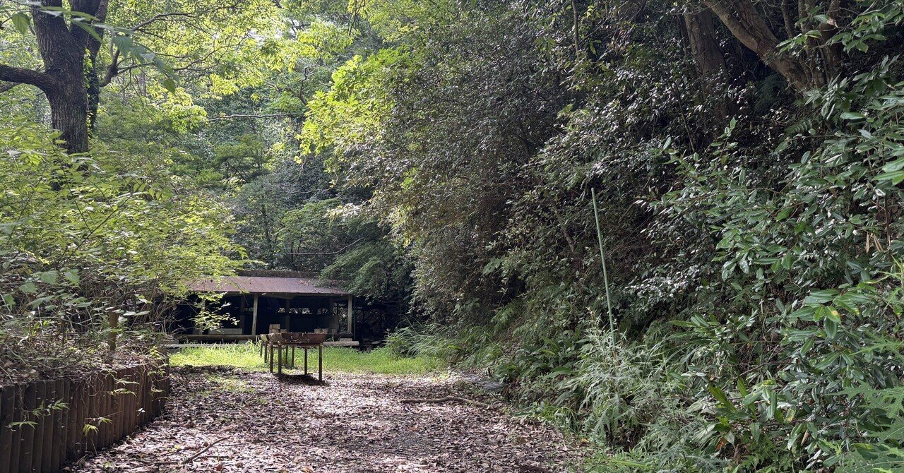 日記164 2025_0803-0809｜はるき