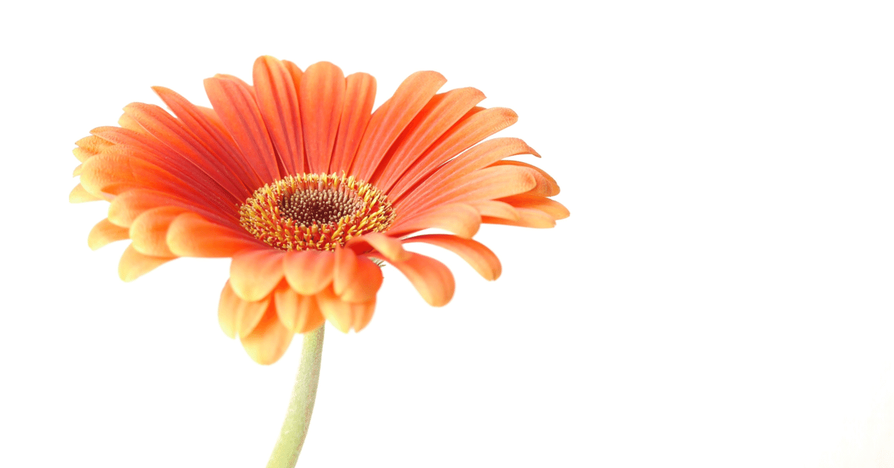 いろいろと思いを馳せた日｜achi-ko（檸檬大福）