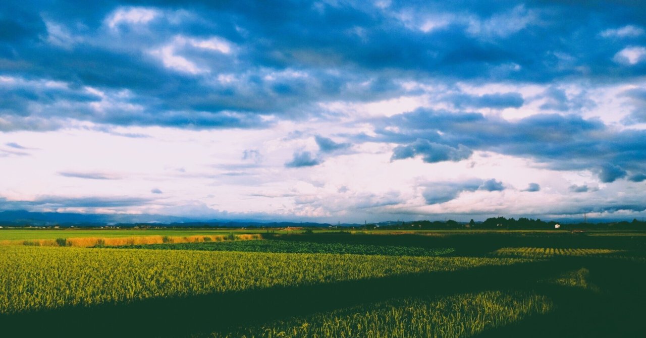 心からの尊敬｜inomata kaori