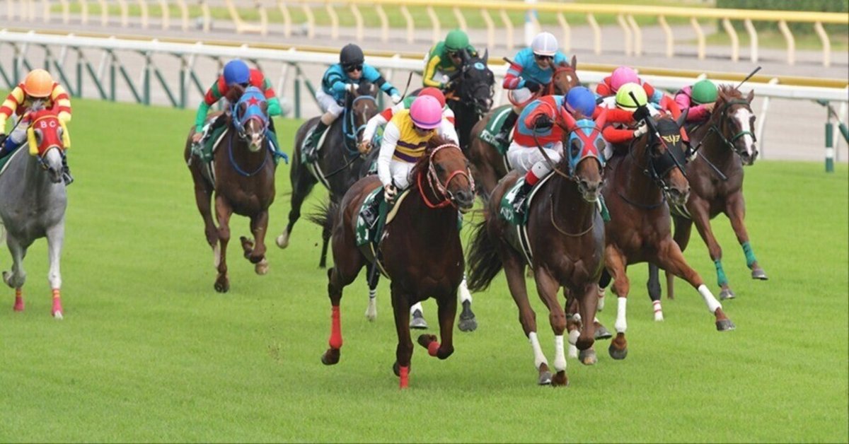 2025👑8👑17《日》【👑特sss🐴激アツ万券勝負レース👑】🔥新潟競馬6r稲妻s🔥先週も万券多数的中🎯👑今年も53万49万25万22万20万