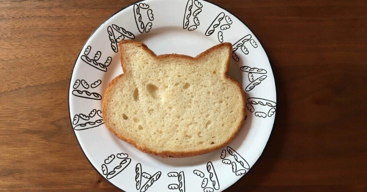 自己紹介|29才|はじめてのnote｜neko