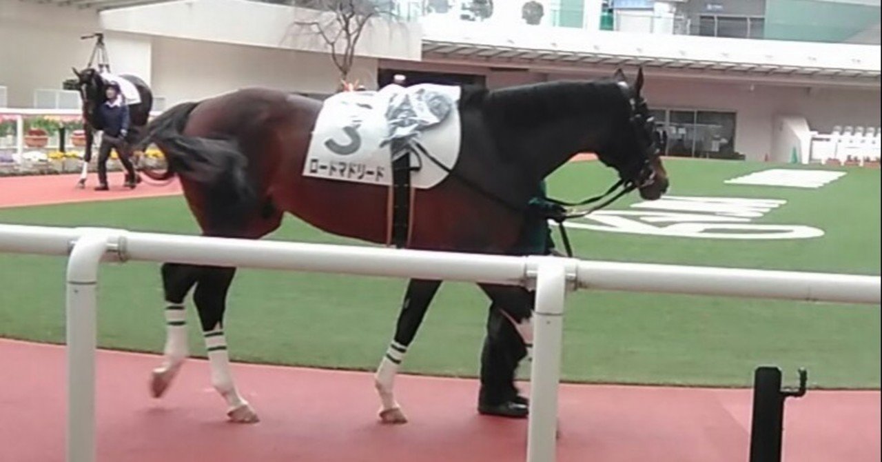 3/14（土）阪神6R 1番人気馬｜JRDB 競馬アラカルト｜note