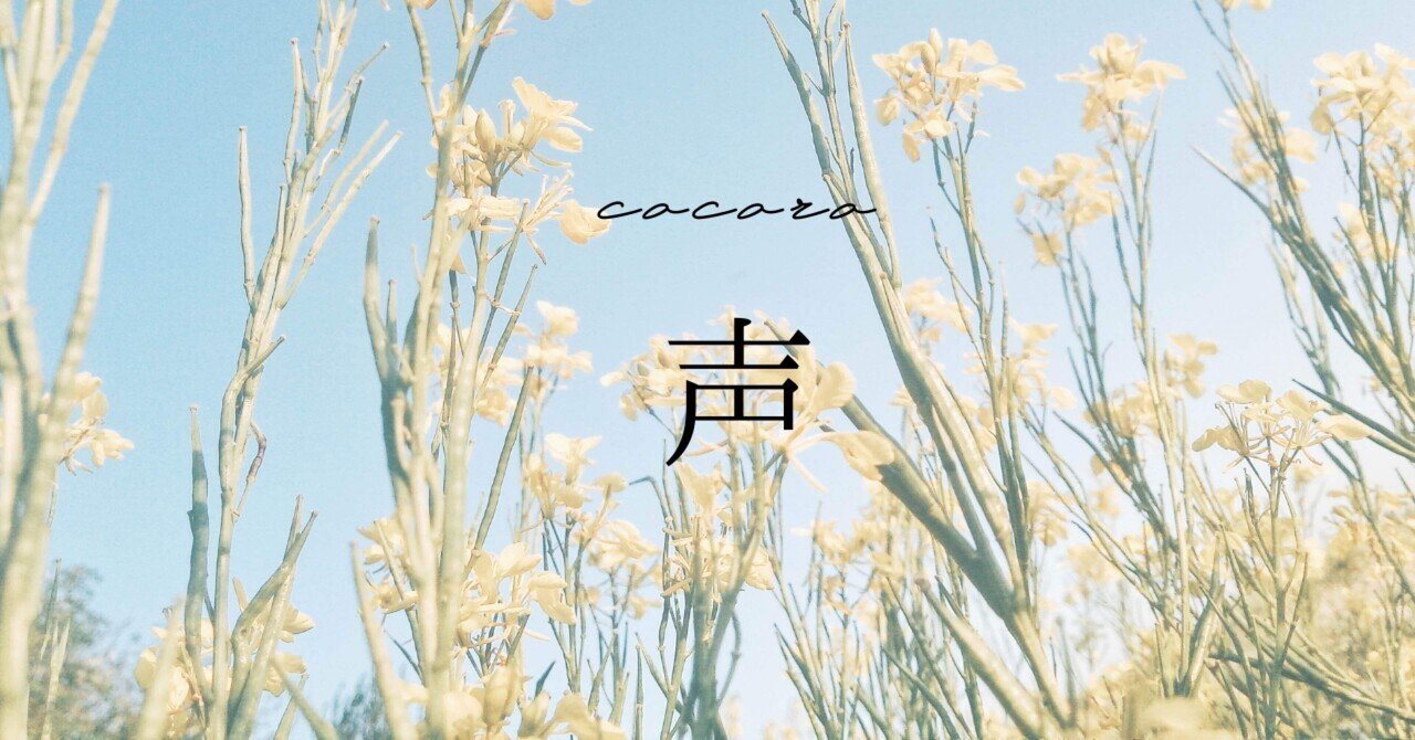 声｜cocoro