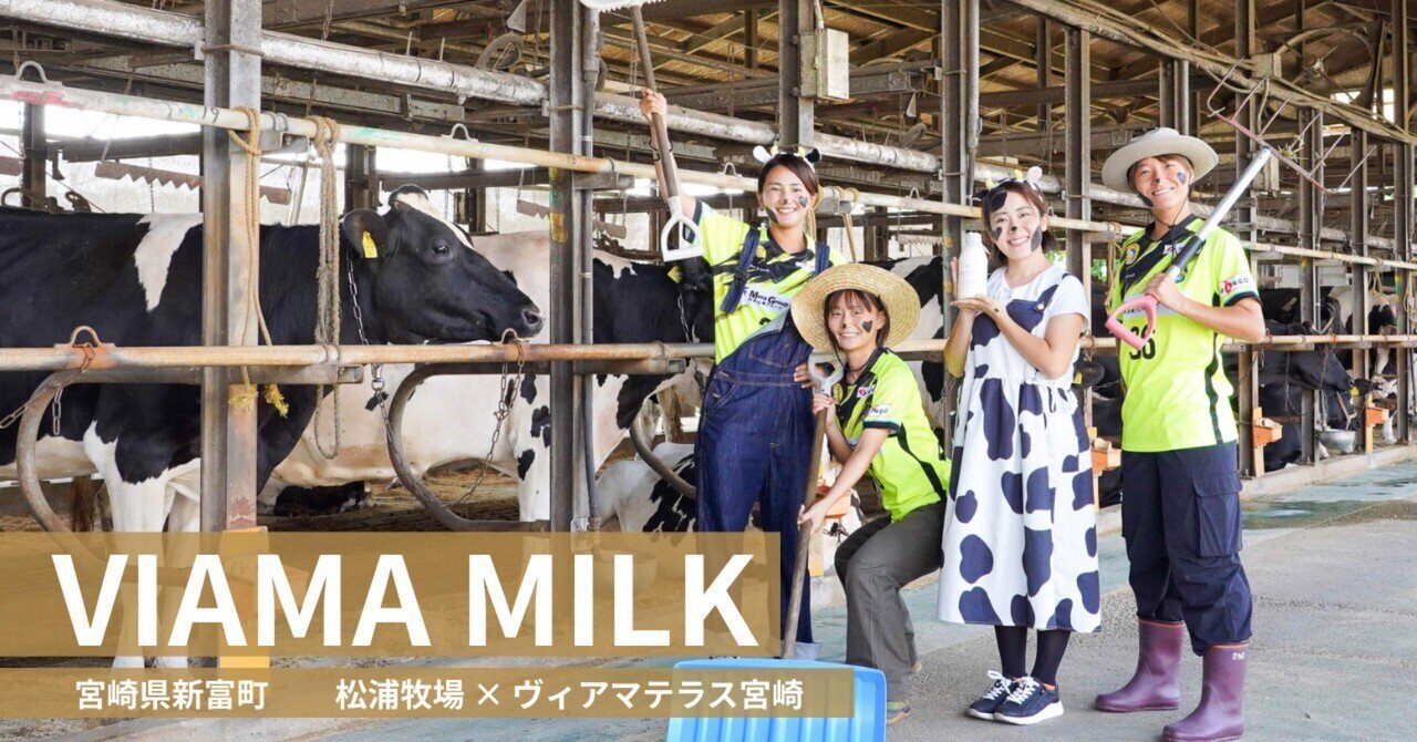 コラボ企画大作戦シリーズ2〜VIAMA MILK〜｜TOMOKO FUKUMARU/福丸智子