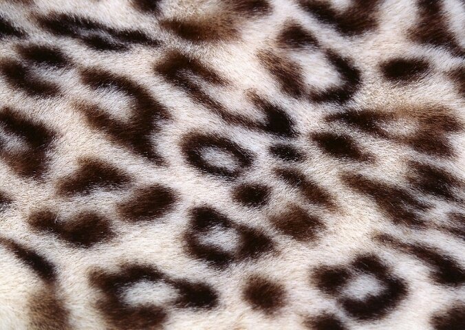 島田佳奈（Kana Shimada）｜note