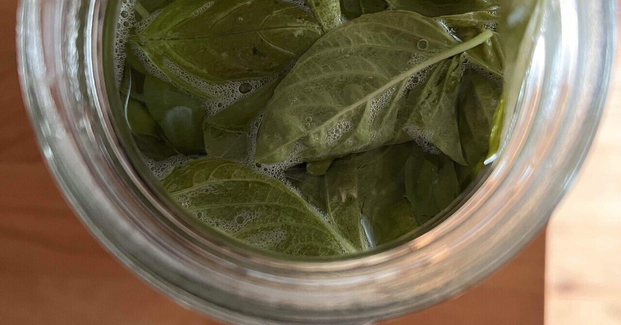 バジル酵母｜kobokobo