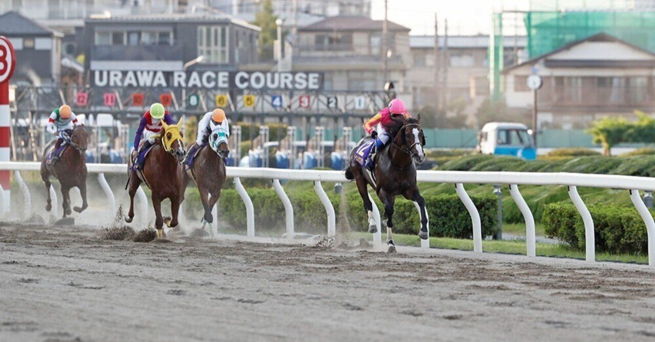 【浦和👊🔥勝負レース👊🔥】【8R】浦和エイトチャレンジ（発走時刻17:00）｜さやだま