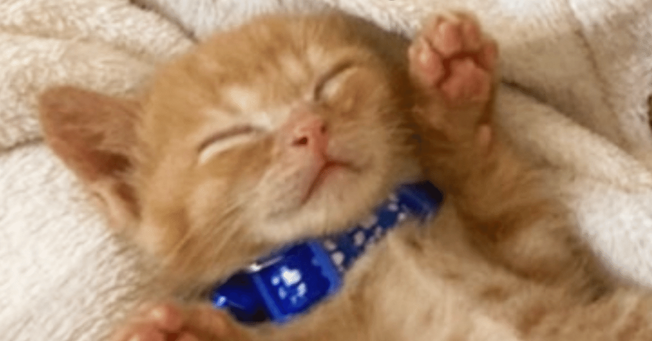 幸せのオノマトペ｜tofu