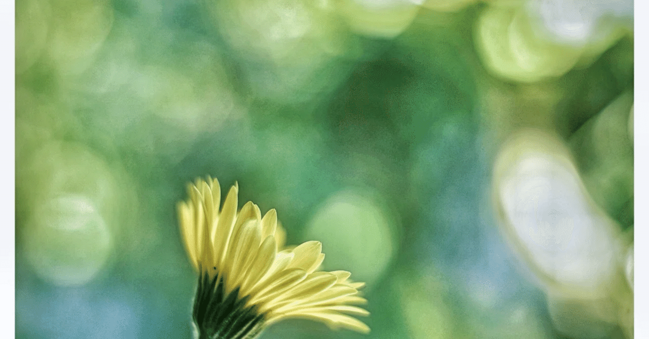 小さな違い｜yuni