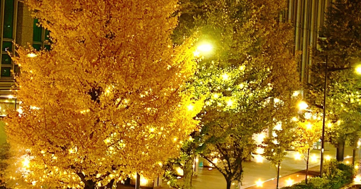 【ポエム】Lingering Dream ～ 夢の残響｜ayano_leizei 冷泉あやの