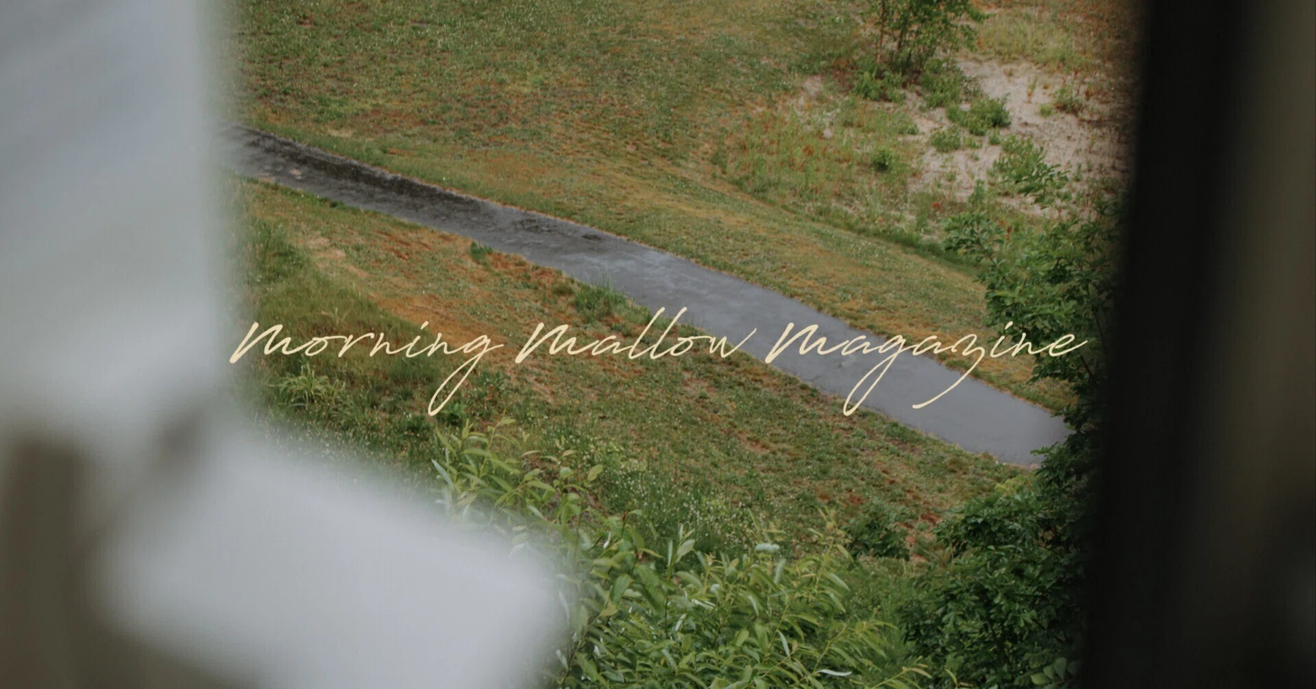 Morning Mallow｜note