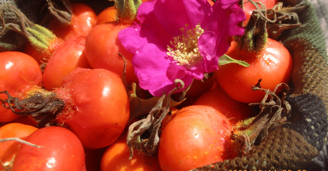 モーニングページ（ノート） 自分にとってはモーニングnote｜YK 株で生計立ててます。