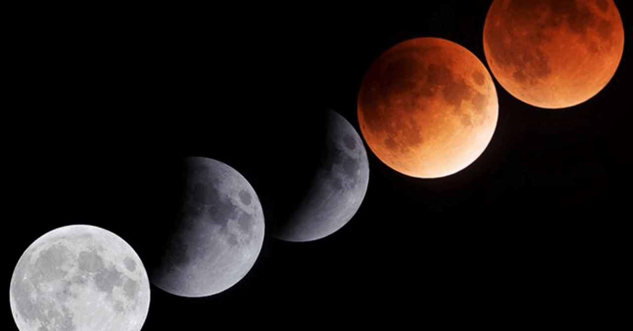 Kick back｜Meg_dailyRLP