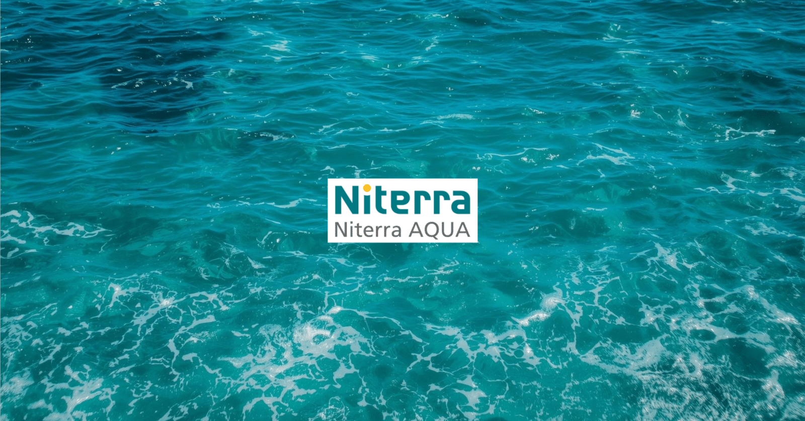 Niterra AQUA(ニテラアクア)の商品一覧｜note