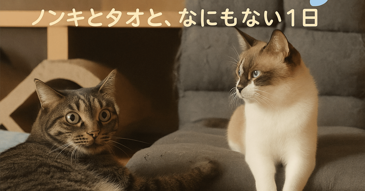 【slow day】ノンキとタオと、なにもない1日──やさしい動画日記｜Kazuo Haraya/haraya store