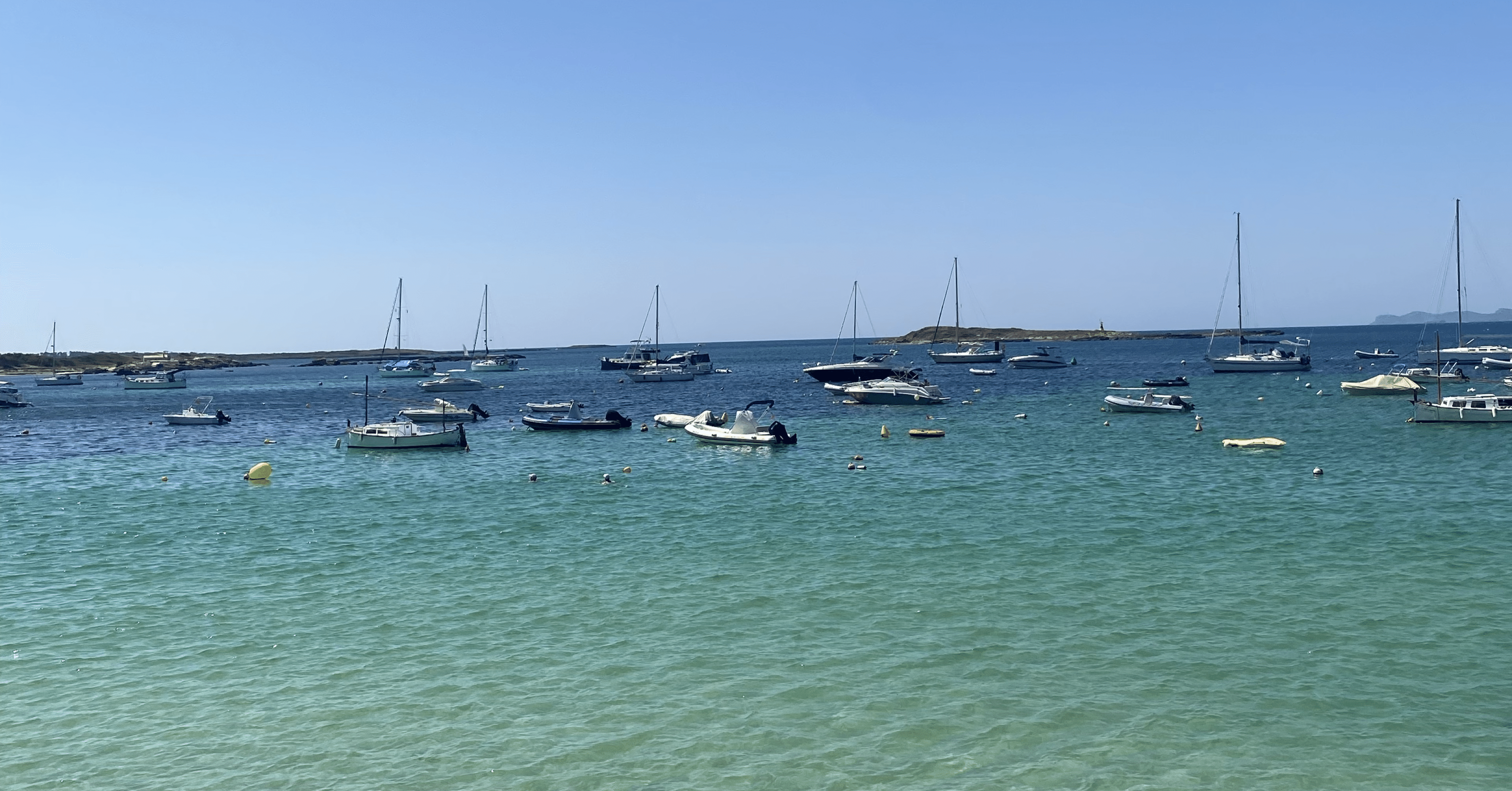 Chikako🌵の国際結婚サバイバル日記｜note