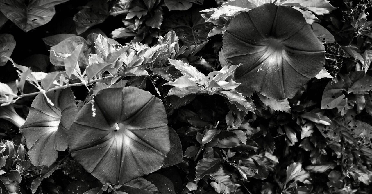 滴る静寂｜Yohei Kuroiwa