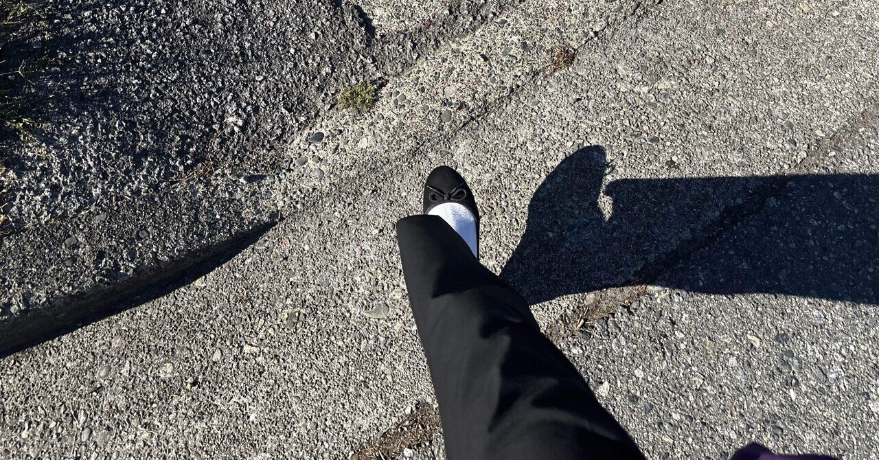 Day112🇨🇦｜あんころもち