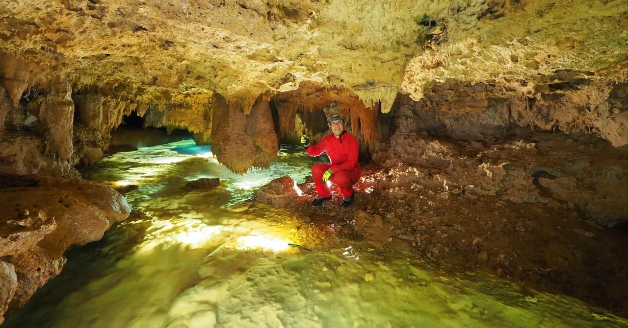 沖永良部島・徳之島・渡名喜島・久米島｜SAK