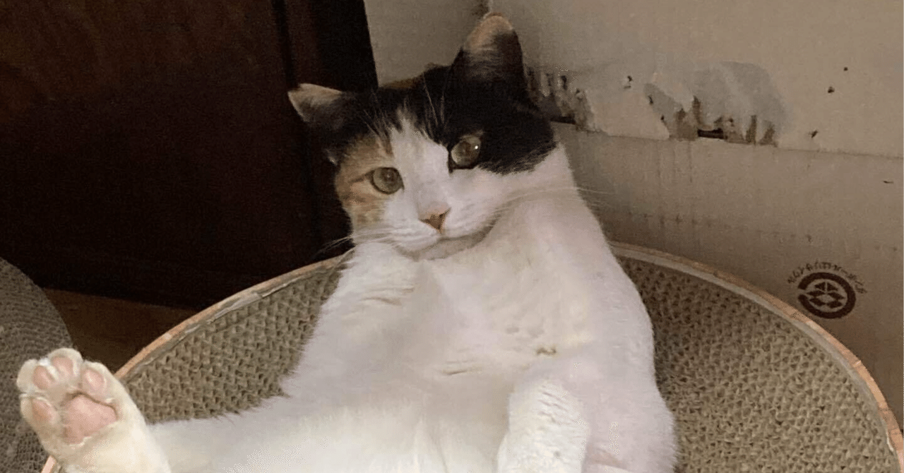 私の大好きな富野由悠季作品3連発！｜Moosan