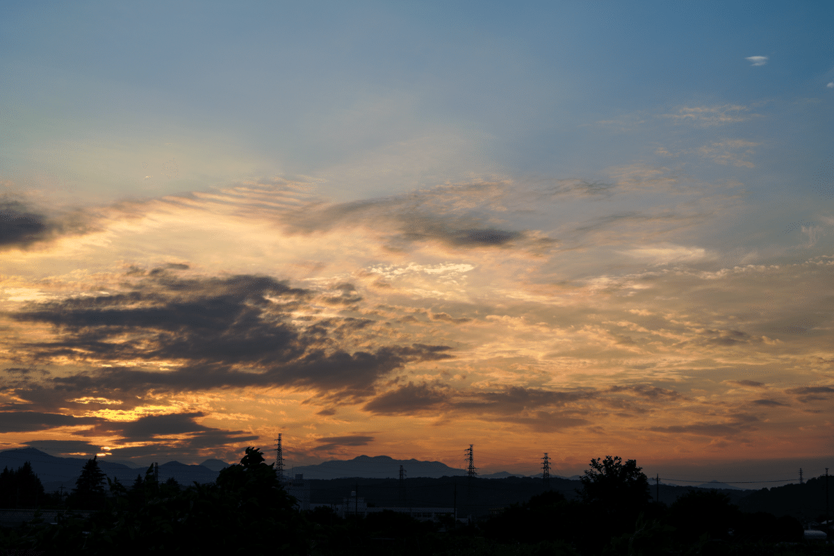 SIGMA fp | SIGMA fpといたから撮れたもの vol.03｜KashiKoro