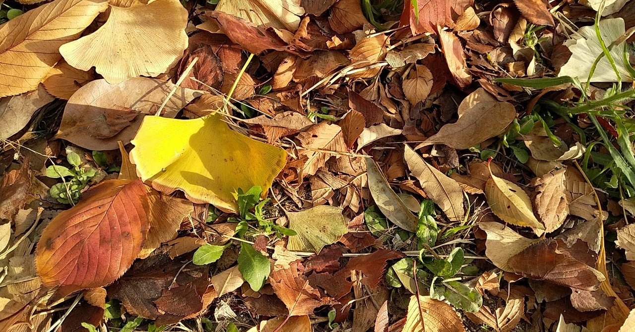 『かげきしょうじょ！！』9巻も面白かった！｜赤井五郎｜note