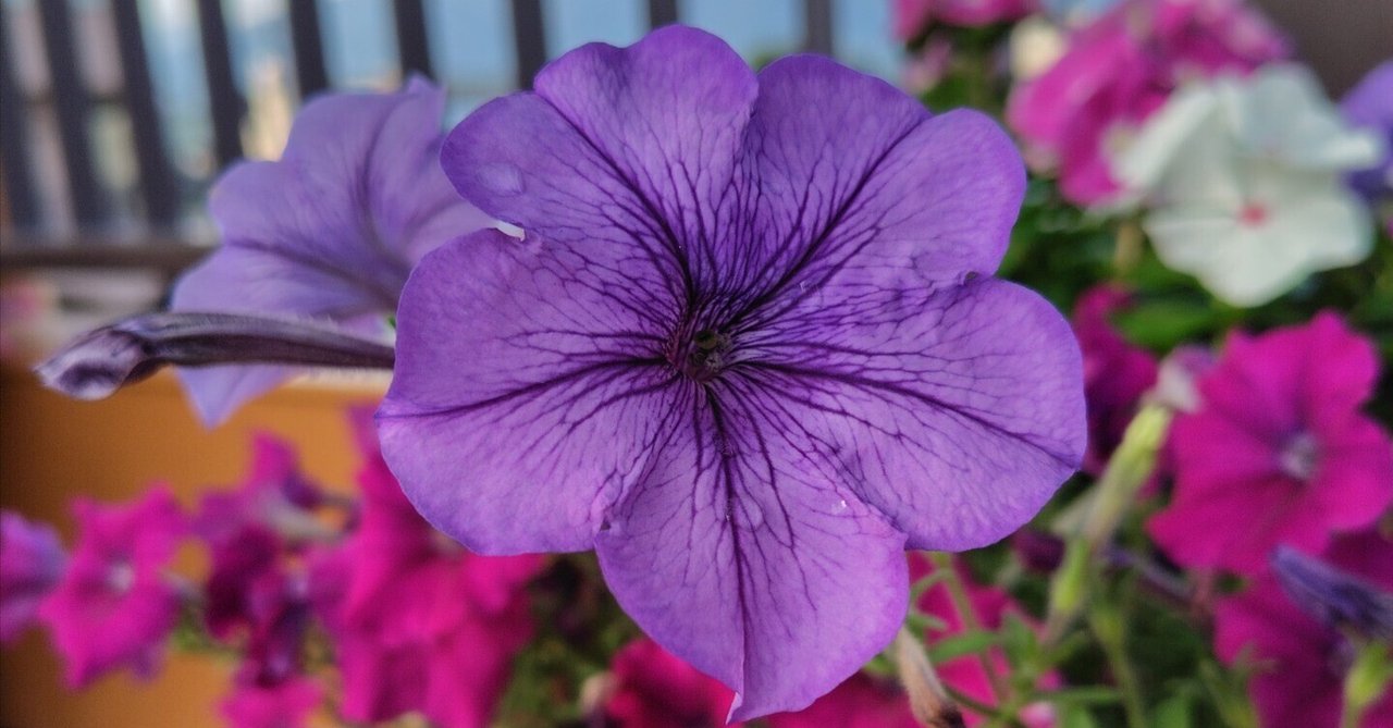 ご褒美に、博物館とランチ。｜mojira