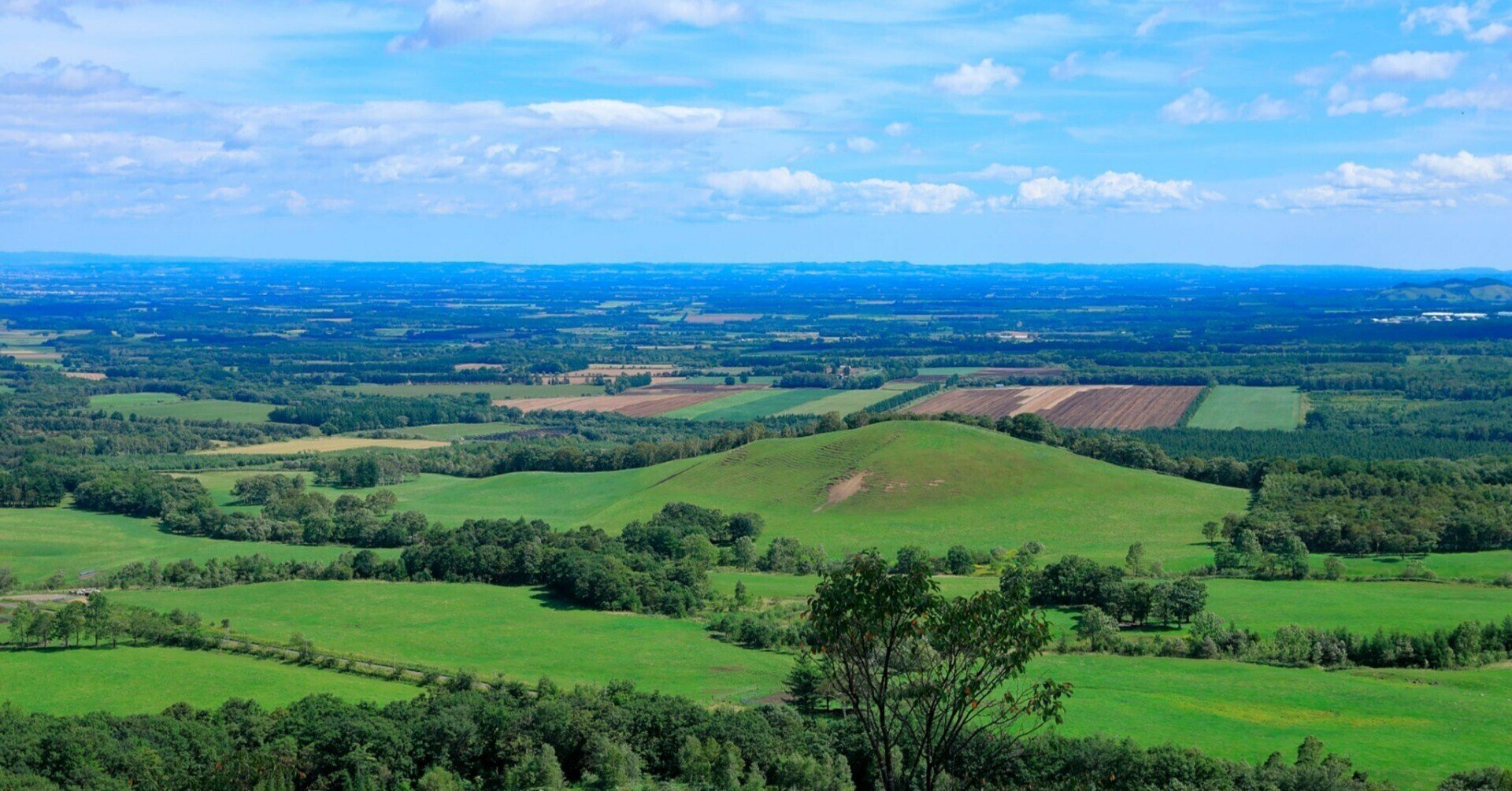 H.TAKAHASHI (.tak//notice)｜note