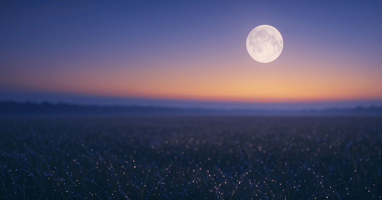 白露と魚座満月―隠者と月がつなぐ未来｜Ryoko＠terra_note