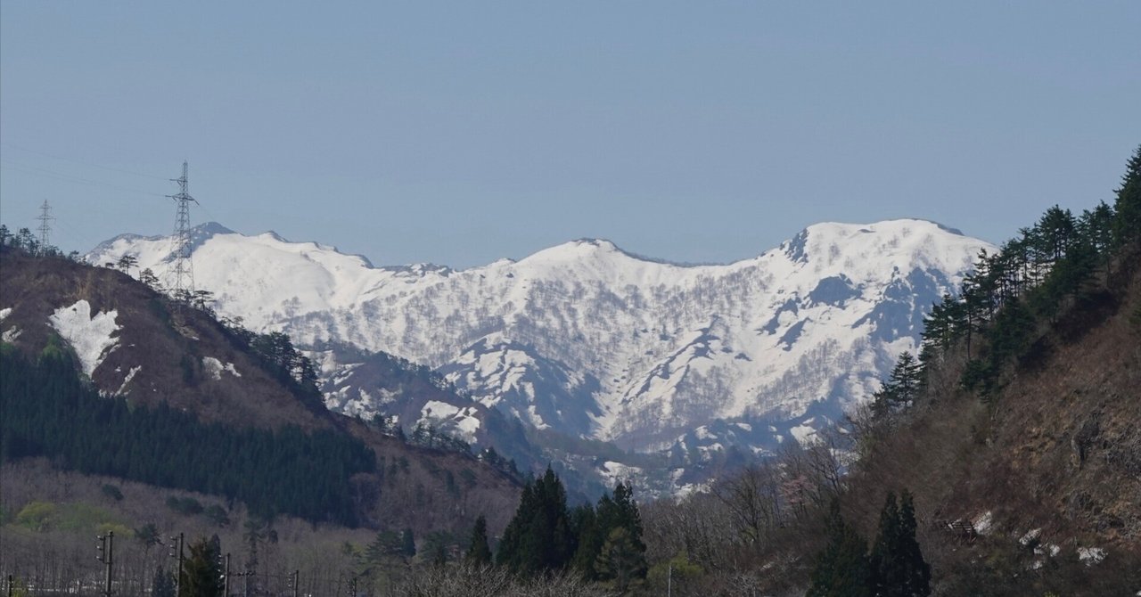 アワガタケスミレ｜noteスミレの部屋