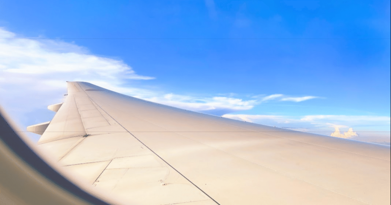 初めて飛行機に乗った話｜shun