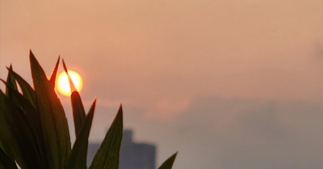 9割達成 面倒でも続けていく｜yuyu