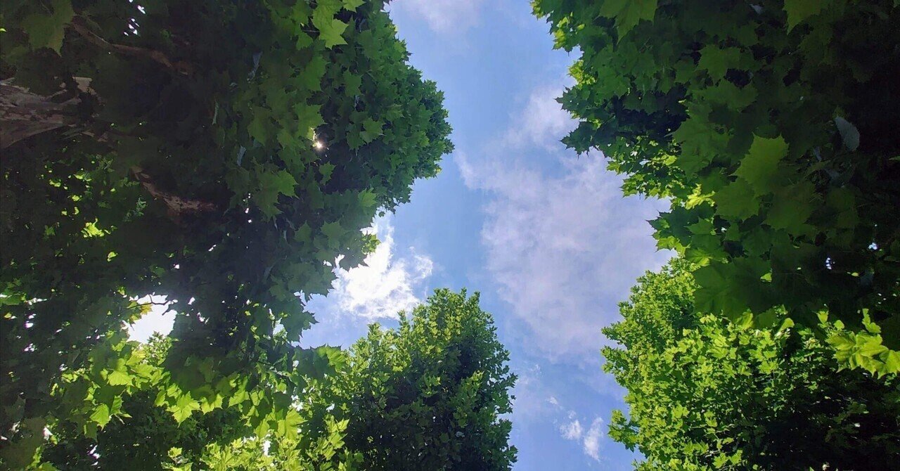 静かな潮流 エピソード81「値上げの正体」｜AZUMI