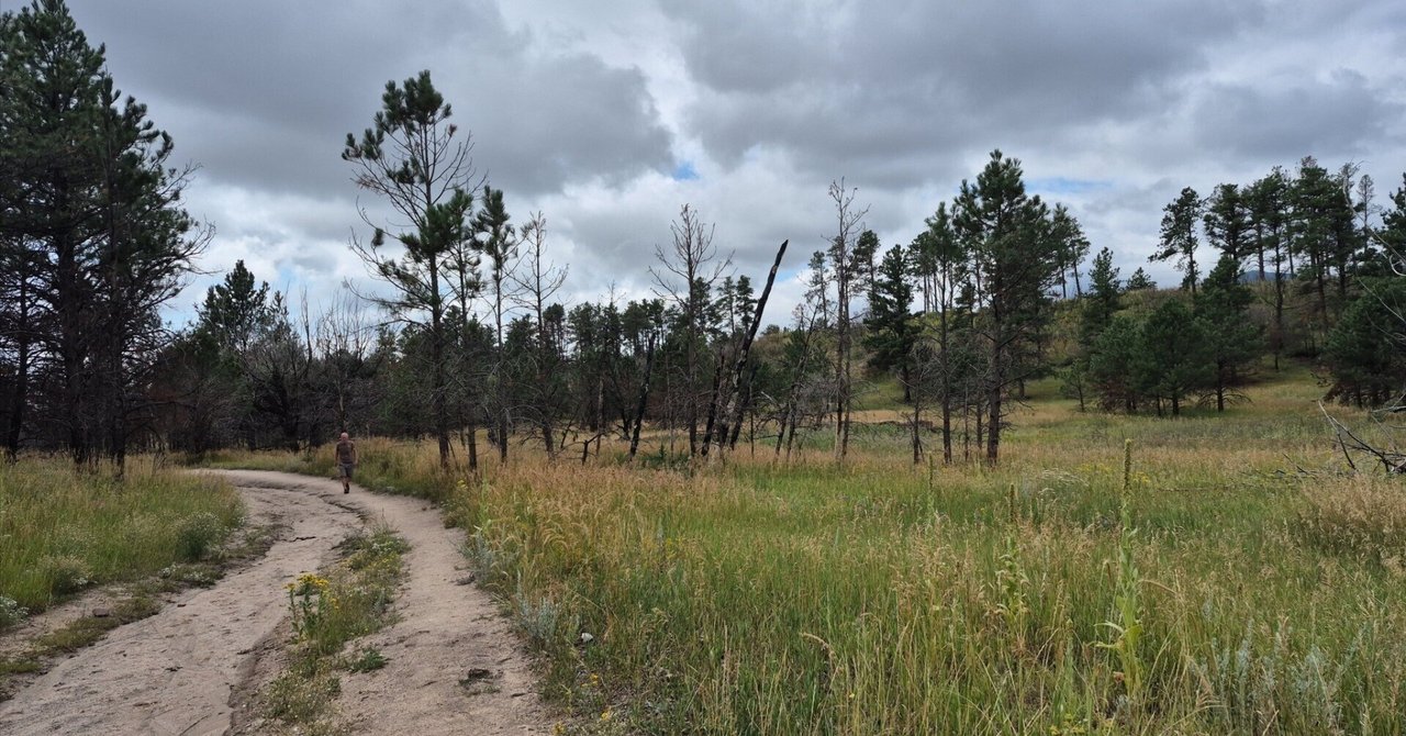 DAVIDが起こす、祈りのミラクル再就職‼(^^♪｜Keiko Fry