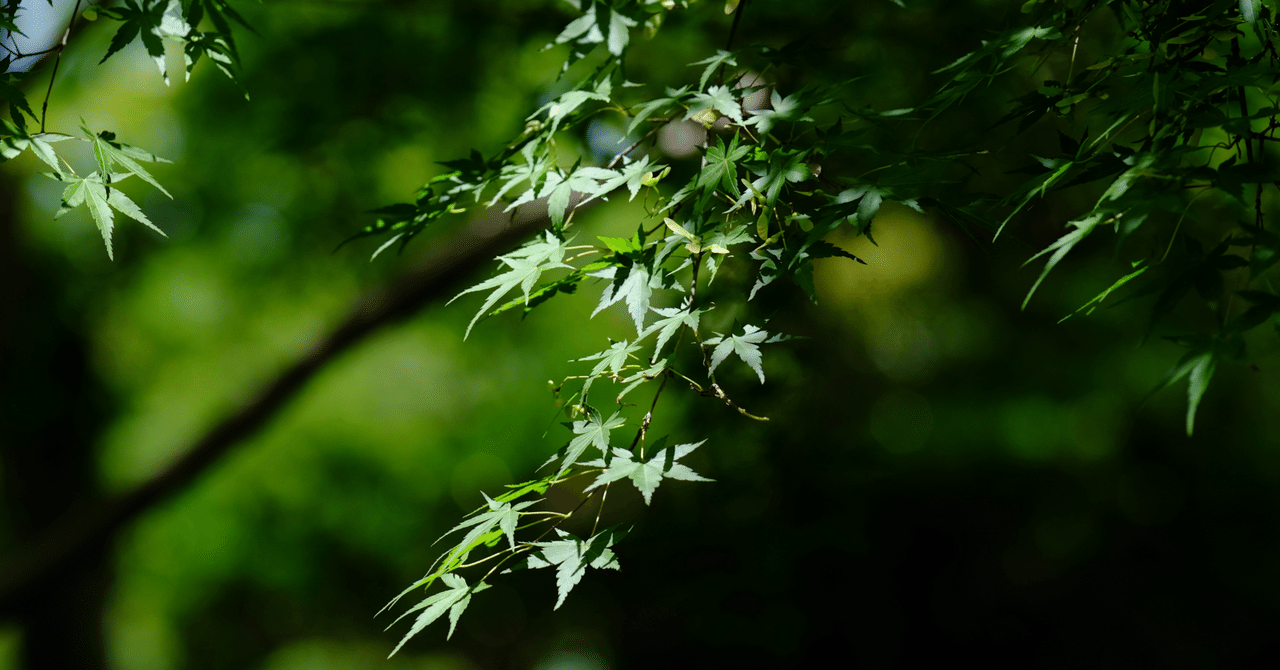 【FP関連】資産形成の始め方｜Keisuke@海外駐在経験フルコミFP