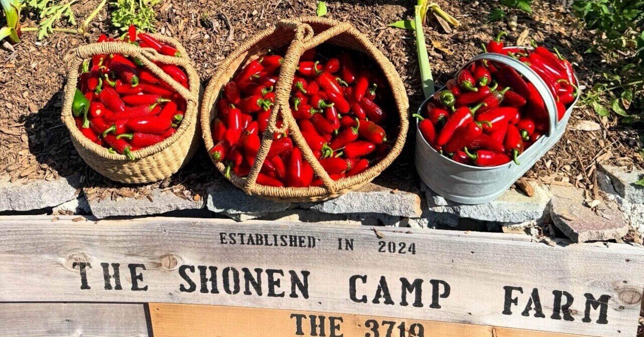 幸運のお守り(Corno Rosso）｜Dan Takuma