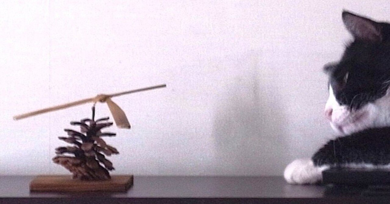 「猫百態」 縄張り｜Rabi Sato