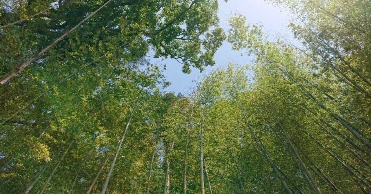 環境デザイン室の紹介｜第3回 光環境計画｜日建グループ