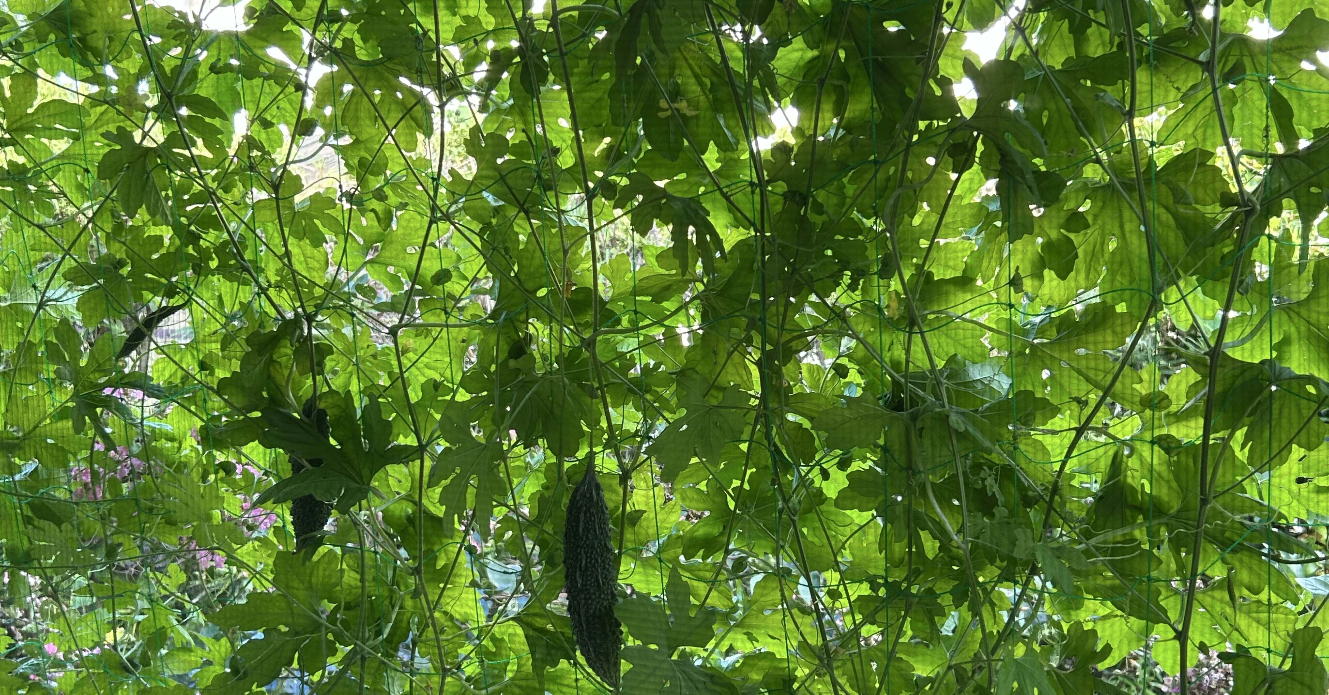 うさぎ🐰｜note