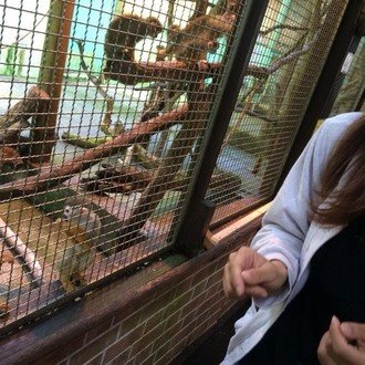 ラーメン｜napico