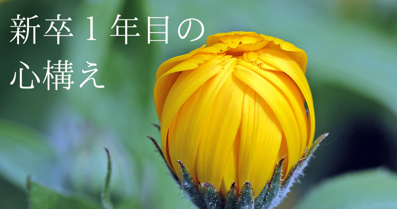 新卒1年目が大事にしたい心構え3つ｜小屋 雄亮 | Yusuke Koya