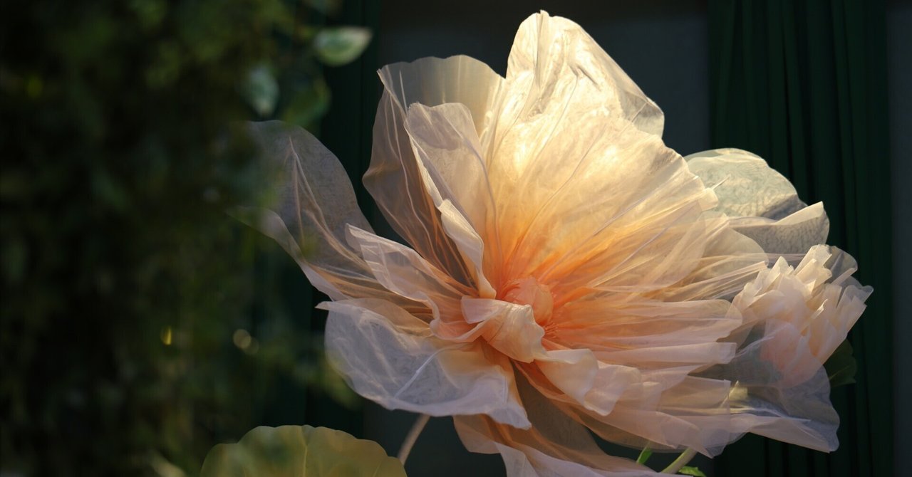 #002 スタジオアリスの新業態「Studio Moaly」取材メモ（2025年8月29日開業）｜新海 優（Yu Shinkai）| 未公開取材note