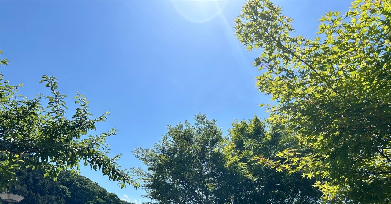 街で見かける ”あるある”｜六壱（ロクイチ） @RokuichiRider