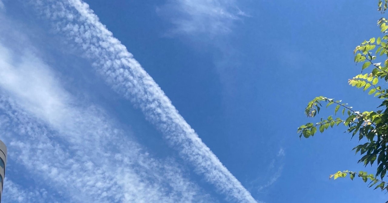 夏の扉が開く｜Mitsuki Ban