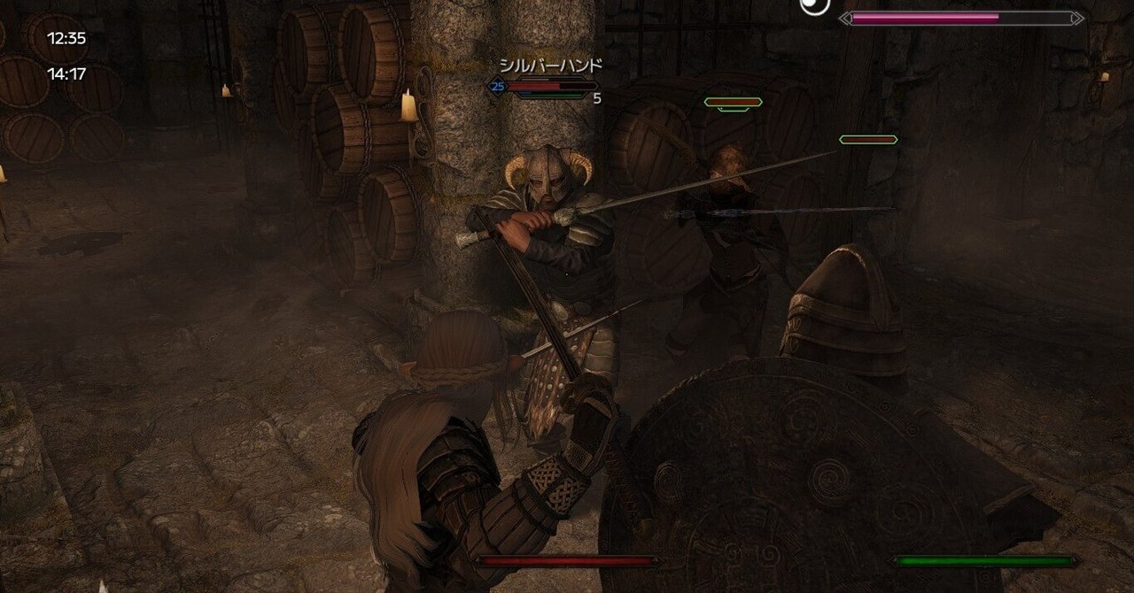 【Skyrim SE】ENBの機能を拡張する｜takamitsu_h