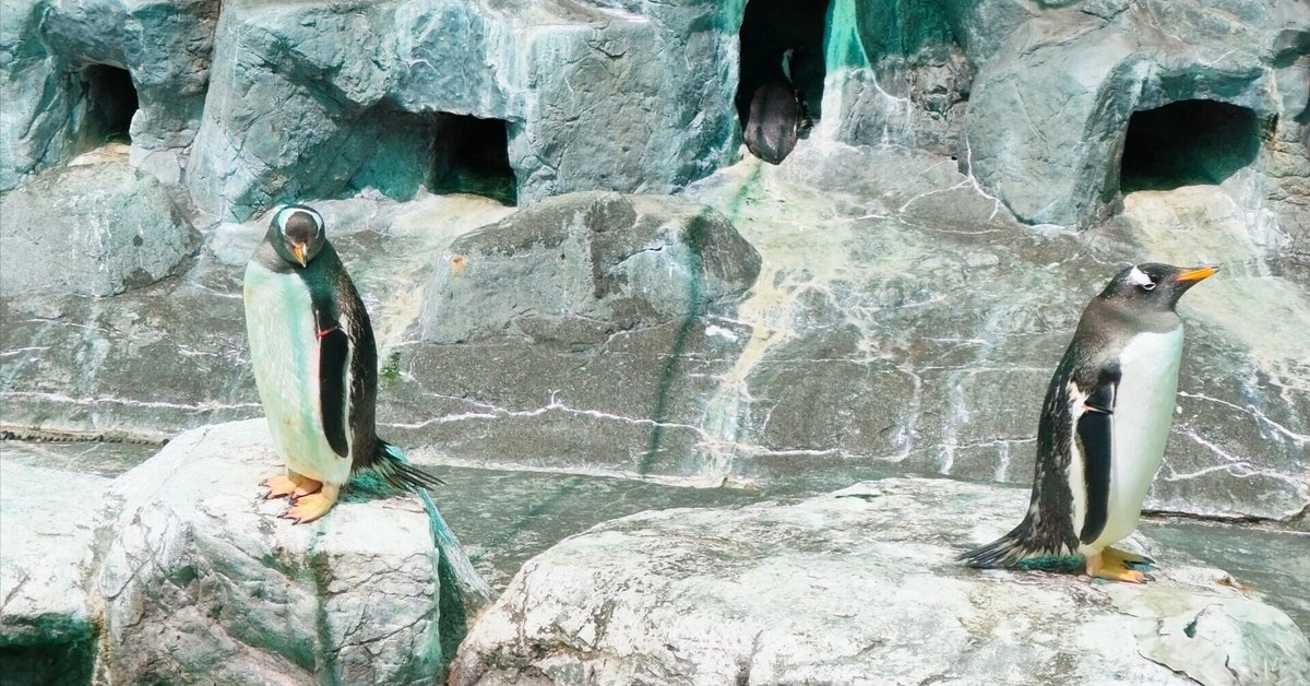 9月ライブスケジュール｜shintaro_hanada