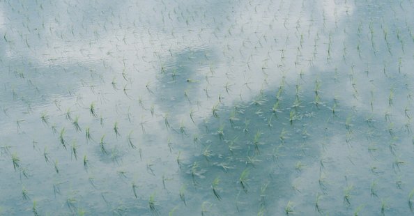 HAMADA Hideaki｜note