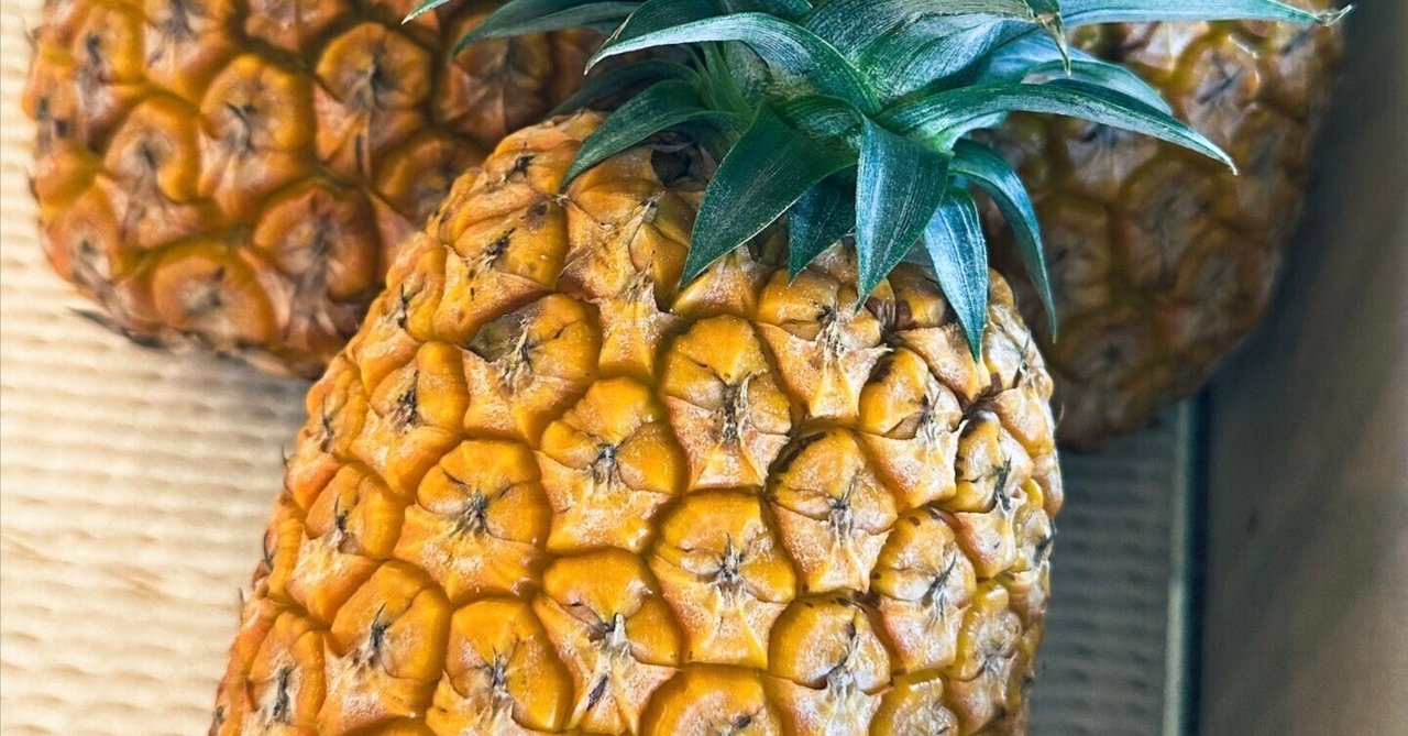 ️空と海と大地を楽しむのんびり家族旅 【宮古島篇 Day6】🌺｜Koichiro Miyoshi