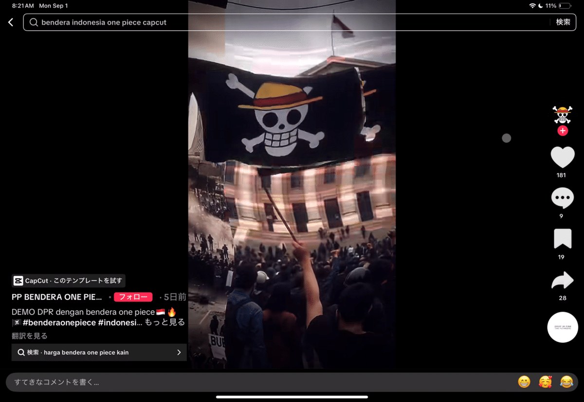 インドネシアデモ、なぜ「ワンピース」の旗が使われているのか？｜野中大暉/ Daichi Nonaka